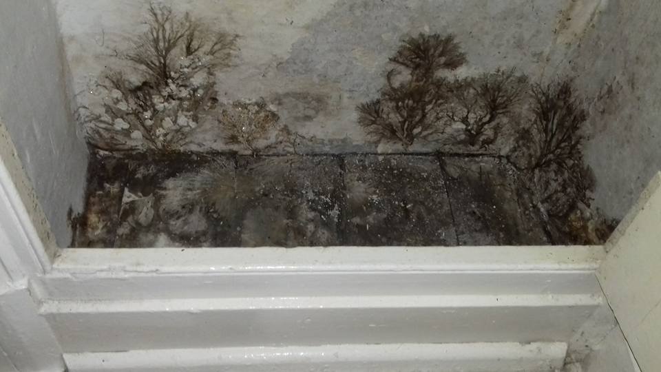 Dry Rot In Lounge In Llanelli Property - Paul's Plastering Llanelli